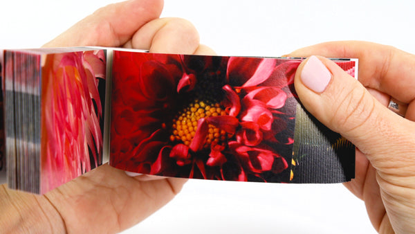 Flowers Flipbook | Motion in Nature Collection | Flipboku - Flipboku Shop